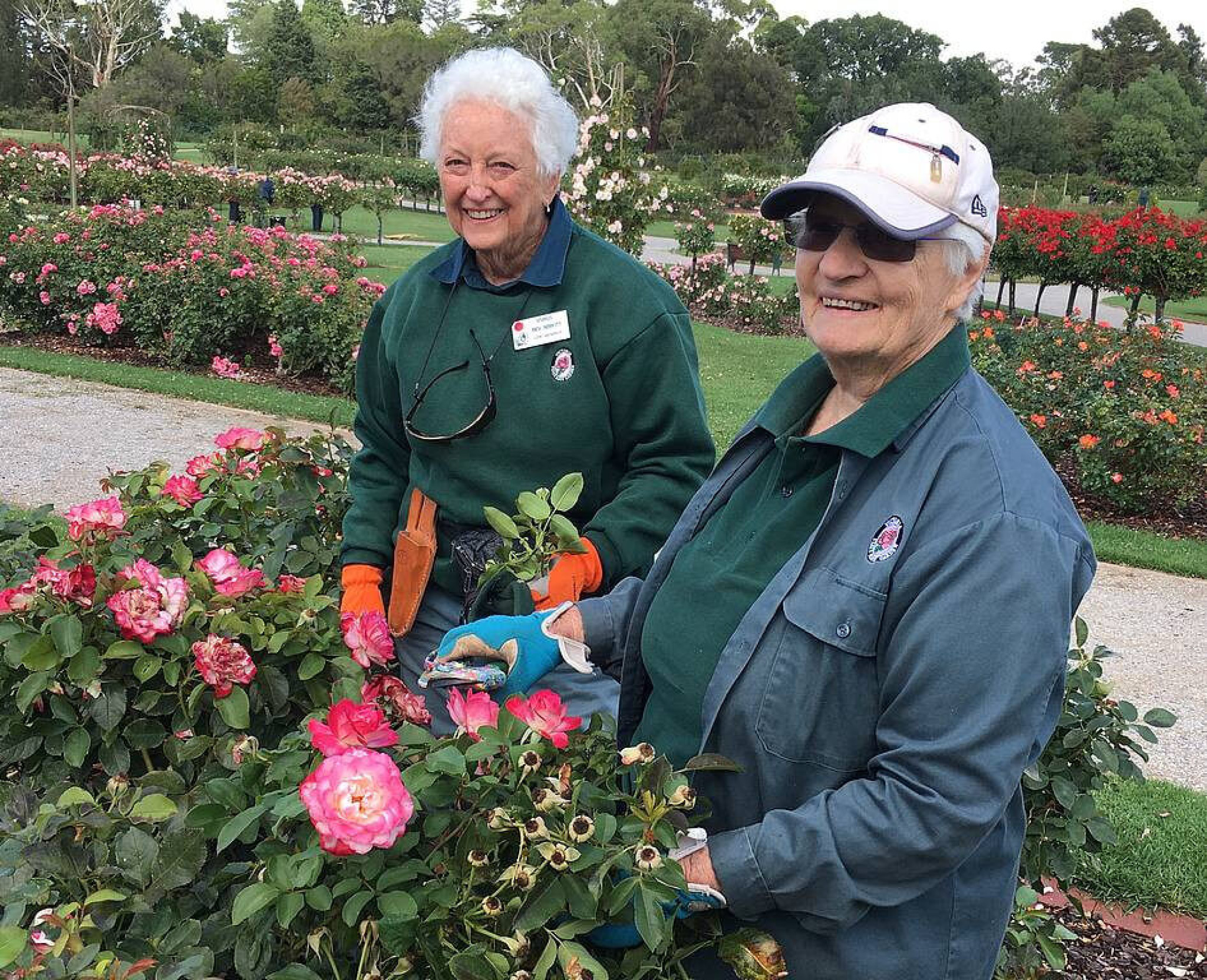 February 2018 | Victoria State Rose Garden, Werribee Park
